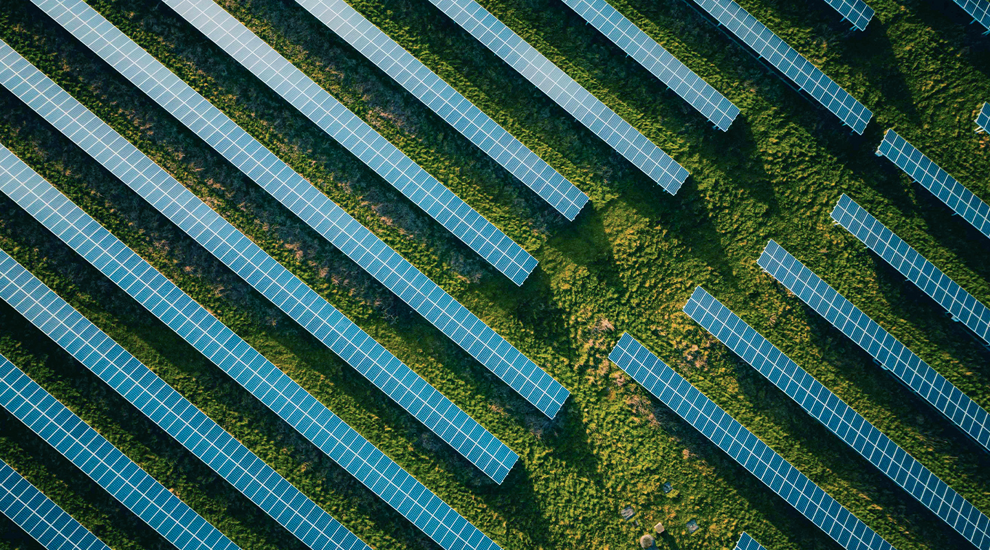 Decarbonisation: what is it & how do you build a strategy? | Planet Mark